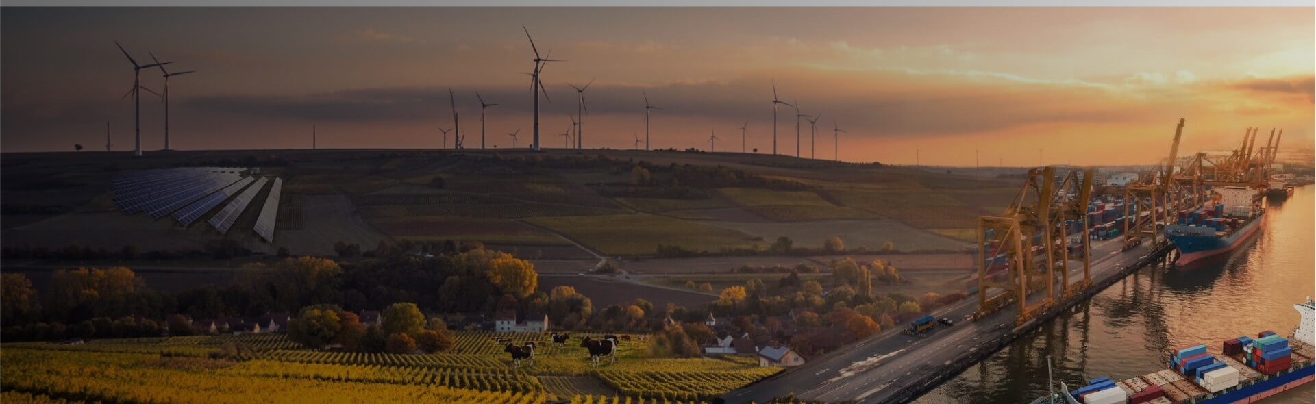 Contact Us | Rabobank