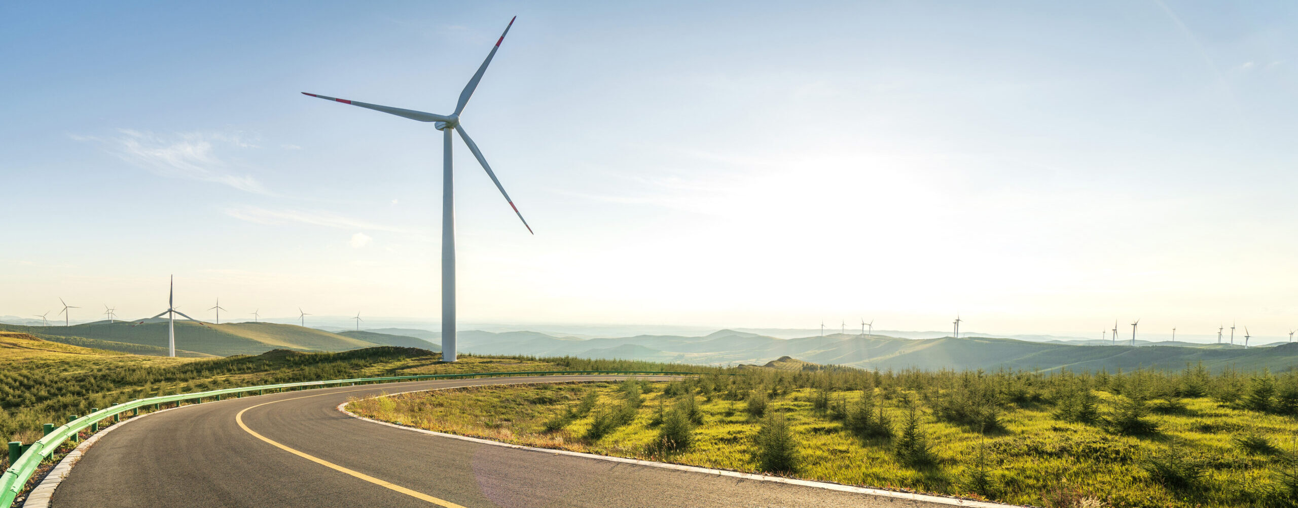 Energy Transition Team Launched to Fuel Growth | Rabobank NA