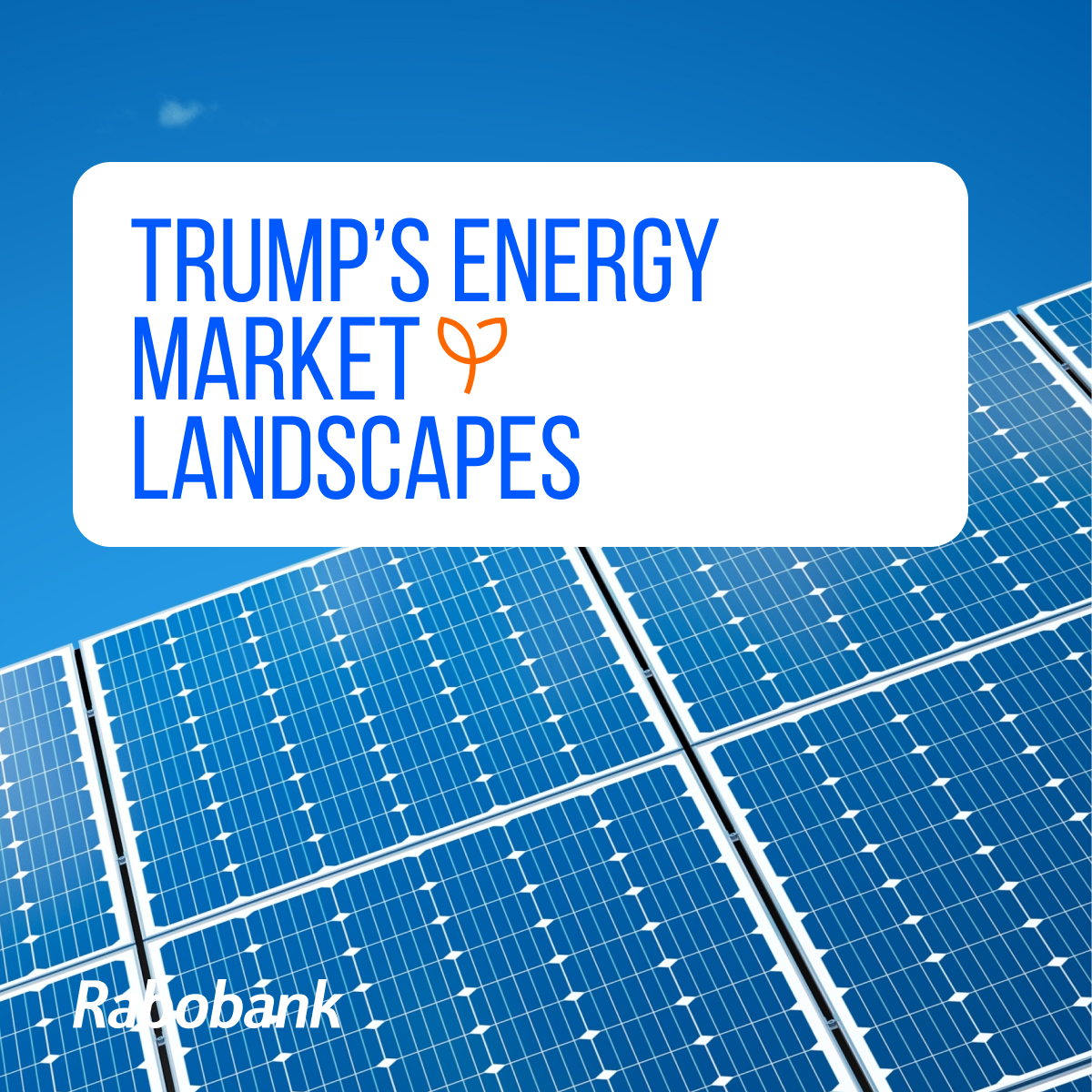 Trump's Energy Markets Landscape | Rabobank